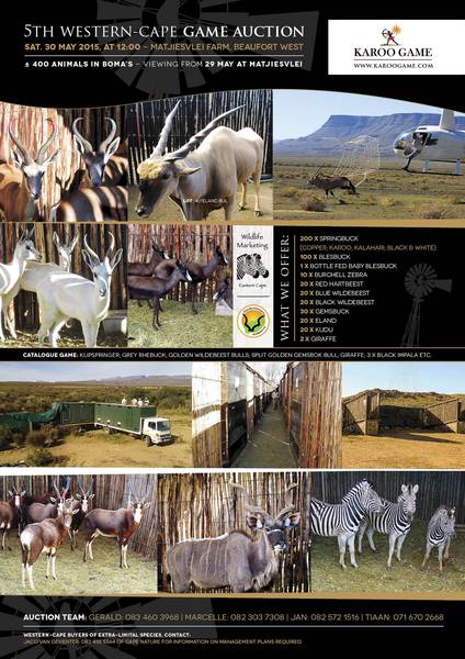 Karoo Game: Game Auctions